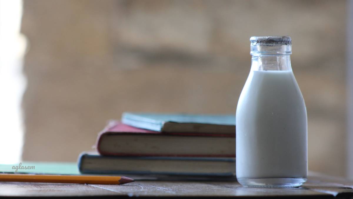 Bihar COMFED Recruitment 2019 Admit Card Released; Download @ sudha ...