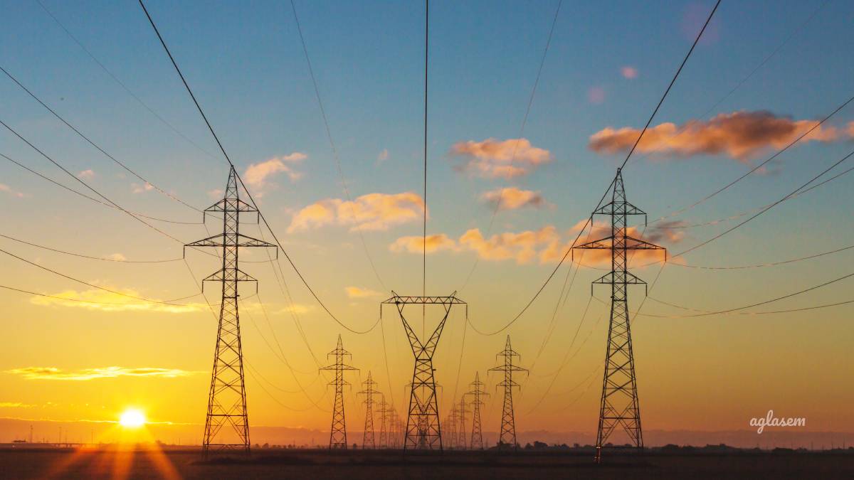 RVUNL JVVNL JdVVNL AVVNL RVPN recruitment 2019 for 1,571 vacancies of ...