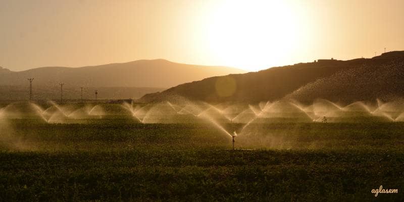 Assam Irrigation Department Recruitment 2020 notification out for 643 ...